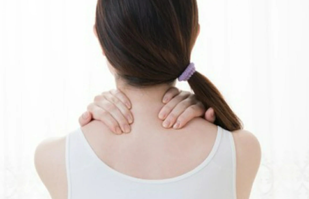 Best Back Wheel Yoga – FitBeast