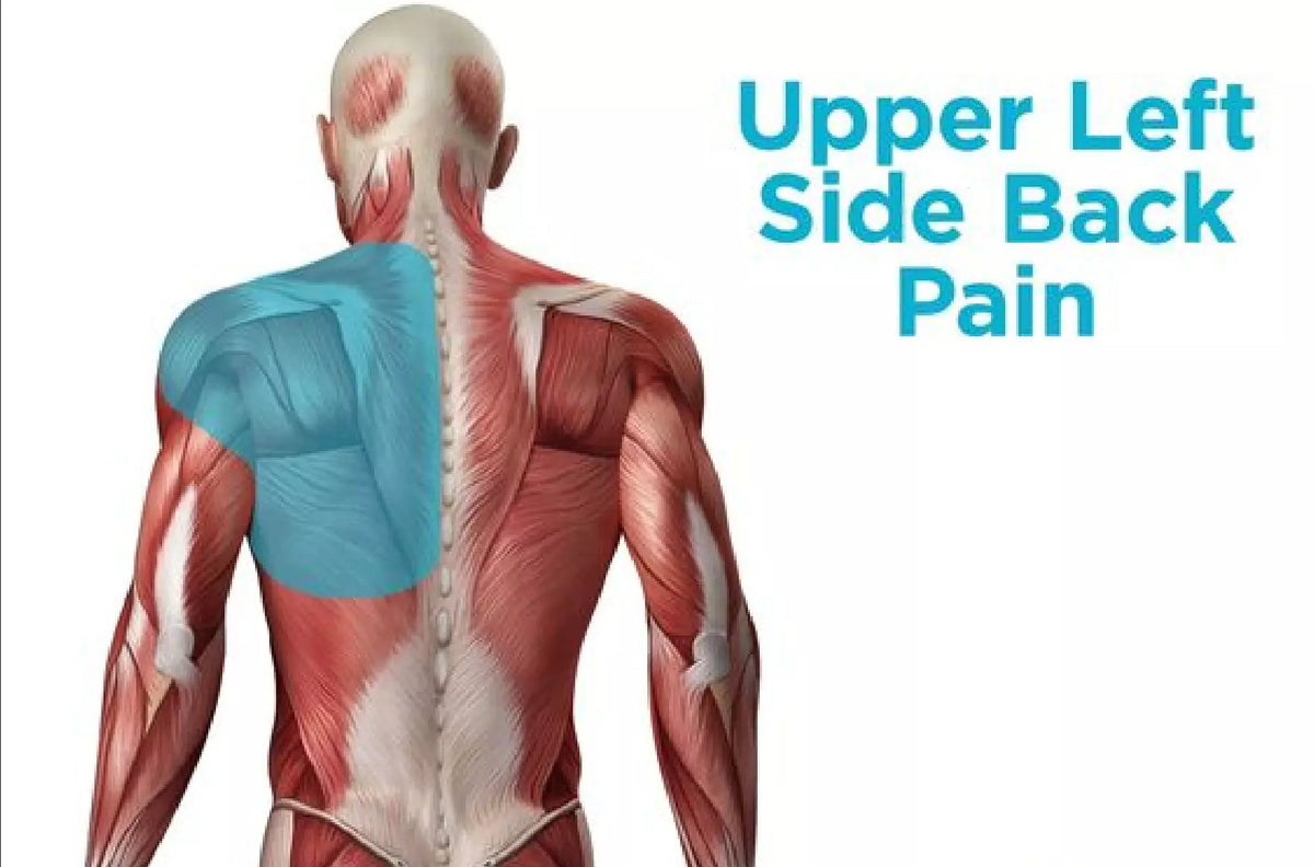 Foam Roller Exercises for Back and Shoulders: The Ultimate Guide – FitBeast