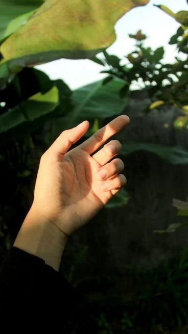 Finger Strain Exercises – FitBeast