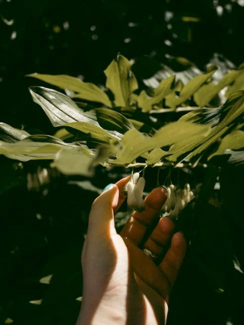 Finger Roll Exercise – FitBeast