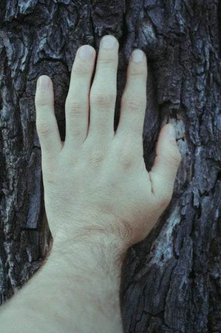 Unlock the Power of the Brain with Hand Eye Finger Exercises – FitBeast