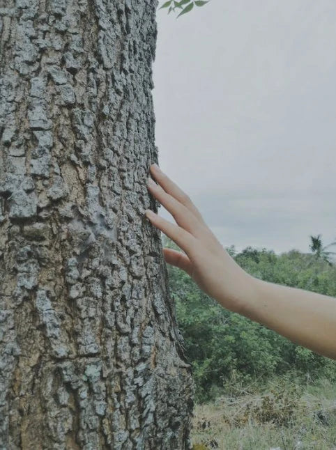 Effective Hand Exercises for Jammed Finger – FitBeast