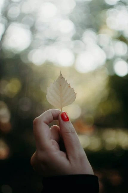 Disk Turning Finger Exercises – FitBeast