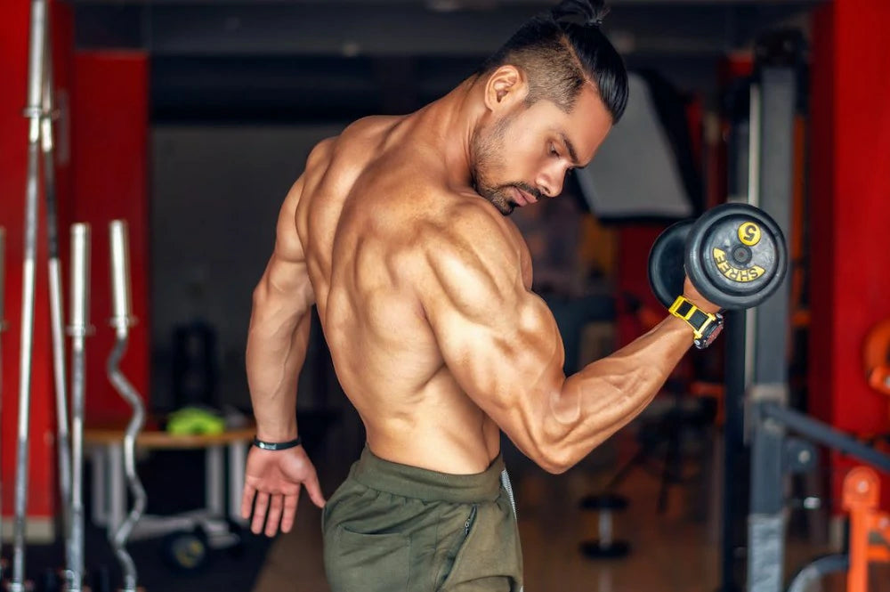 Finger Exercise Rings – FitBeast