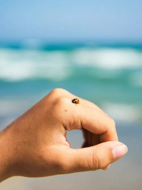 Finger Tap Exercise Video – FitBeast