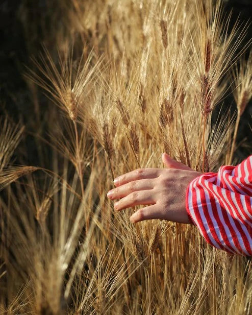 Finger Spring Exercise with Elastic Band – FitBeast